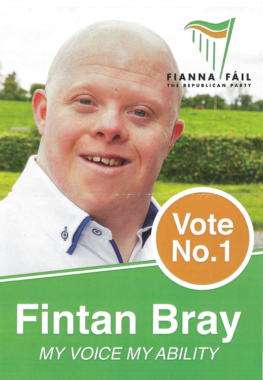 Leaflet from Fintan Bray – Fianna Fáil -Committee of 15 Elections ...
